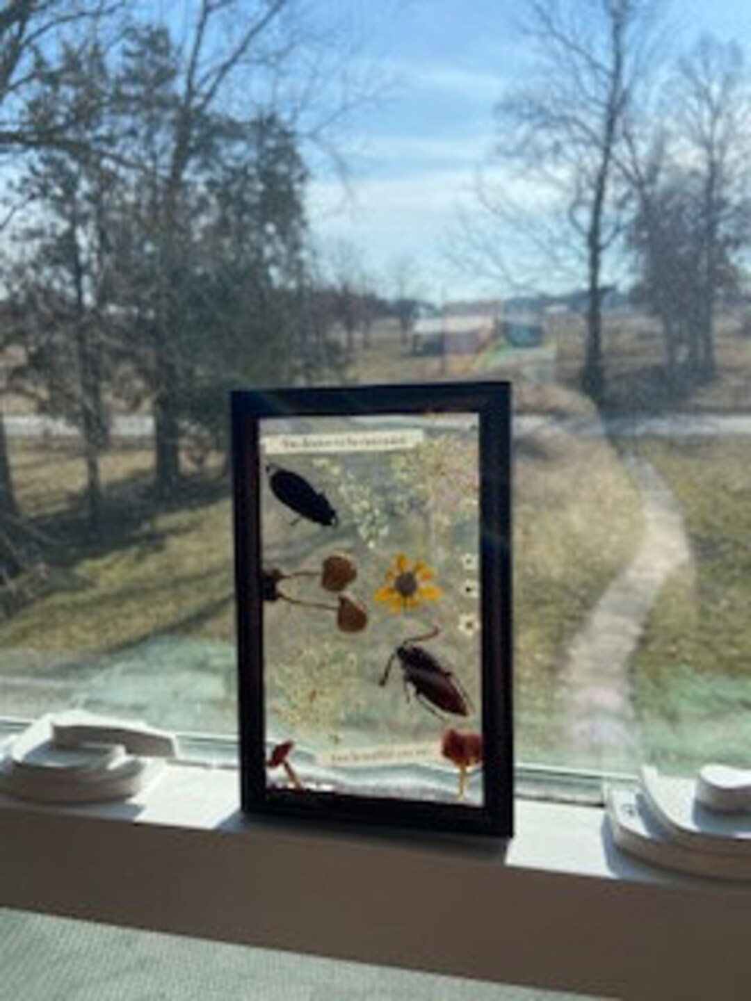 Beatle Bug Art Clear Sun Catcher Epoxy Resin Preservation Flower Hippie ...