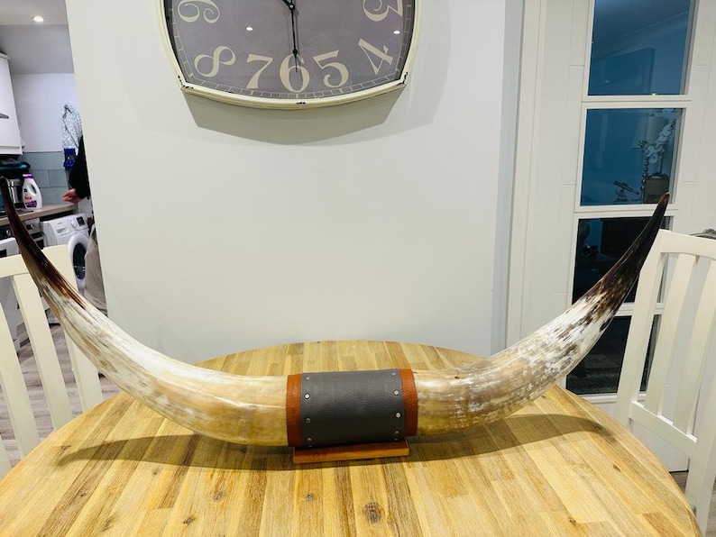 Authentic Real Bull Longhorn/leather Horn Mount - 50" to 52" - Steer ...