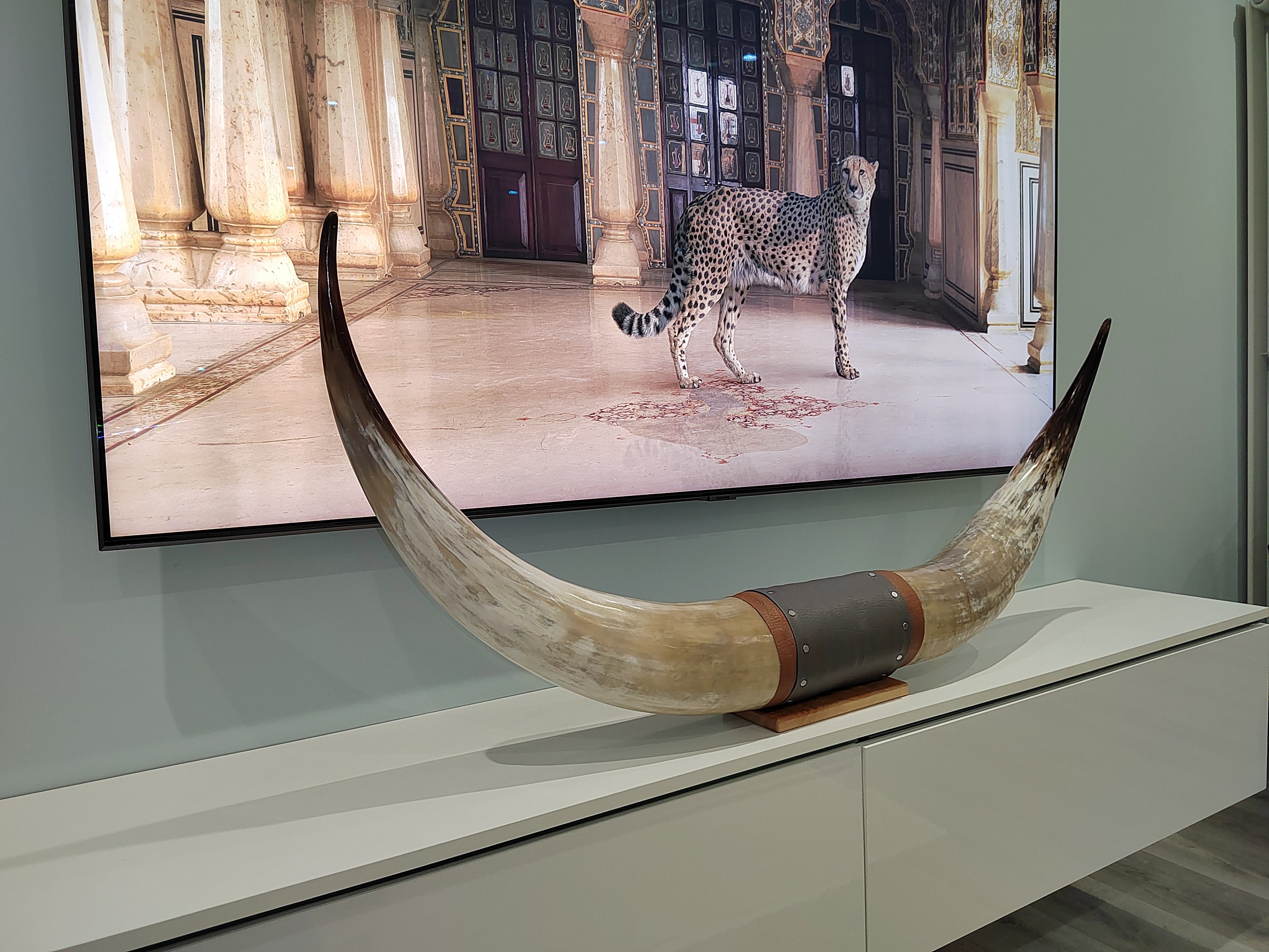 Authentic Real Bull Longhorn/leather Horn Mount - 50" to 52" - Steer ...