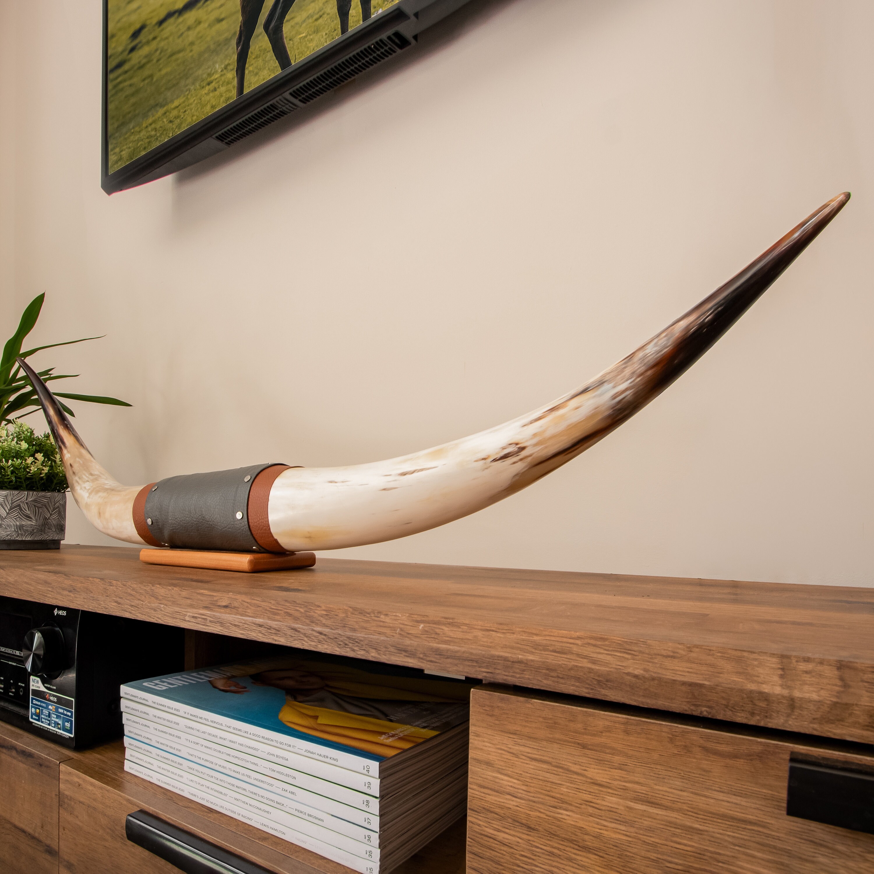 Authentic Real Bull Longhorn/leather Horn Mount - 50" to 52" - Steer ...