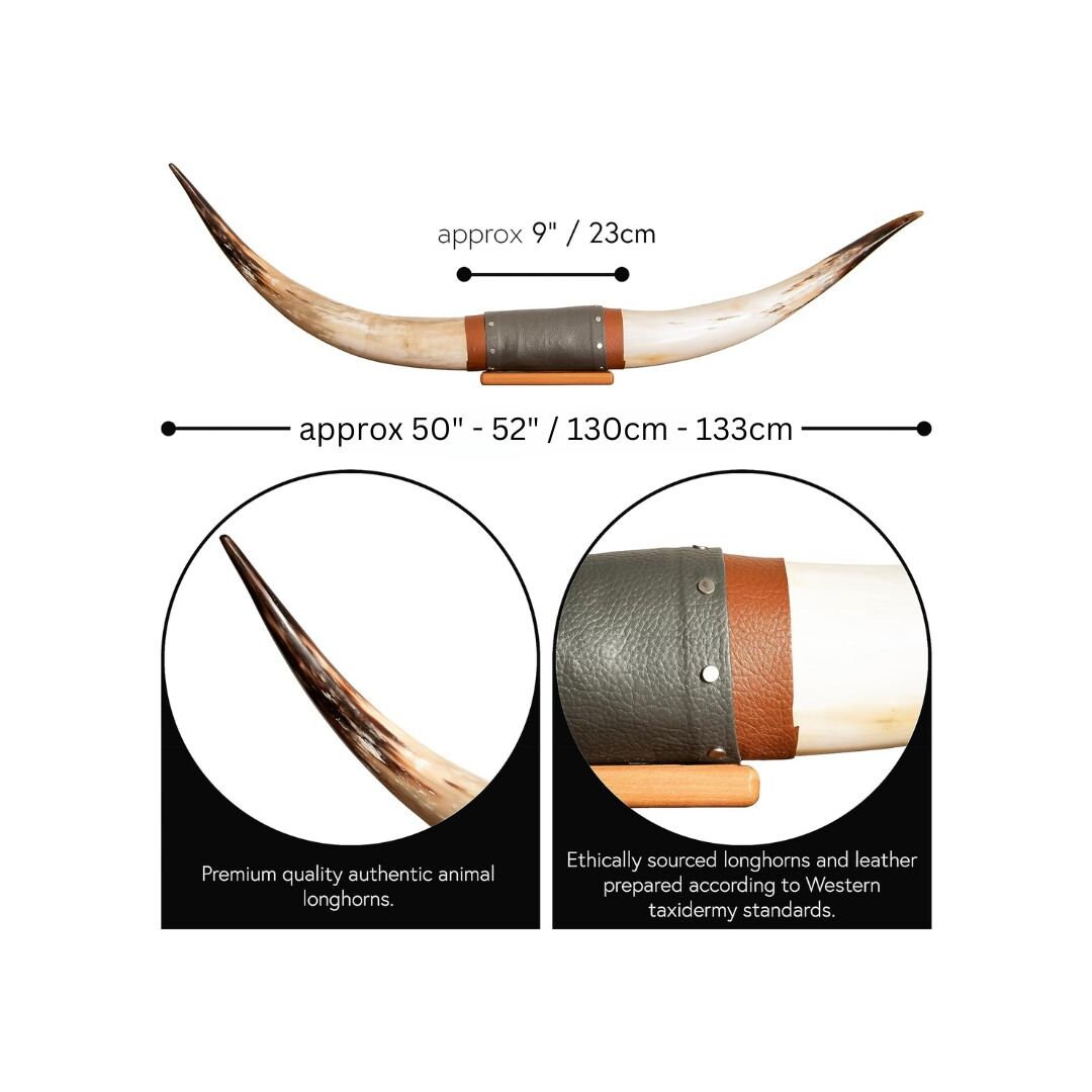 Authentic Real Bull Longhorn/leather Horn Mount 50 to 52 Steer Horns ...