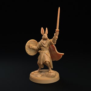 Rabbitfolk Heroes | 3D Printed | Dungeons and Dragons | Bunny | Mini ...