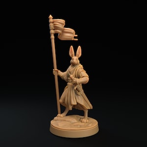 Rabbitfolk Heroes | 3D Printed | Dungeons and Dragons | Bunny | Mini ...