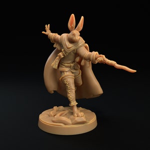 Rabbitfolk Heroes | 3D Printed | Dungeons and Dragons | Bunny | Mini ...