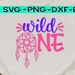Wild One, Wild One Svg, Wild, Wild Svg, One, One Svg, First, First Svg ...