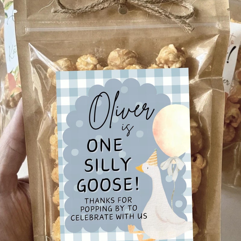 Silly Goose Birthday Party - Etsy