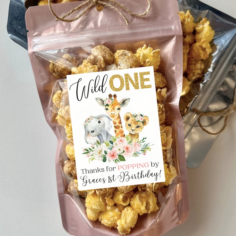 Wild One Girl Party - Etsy