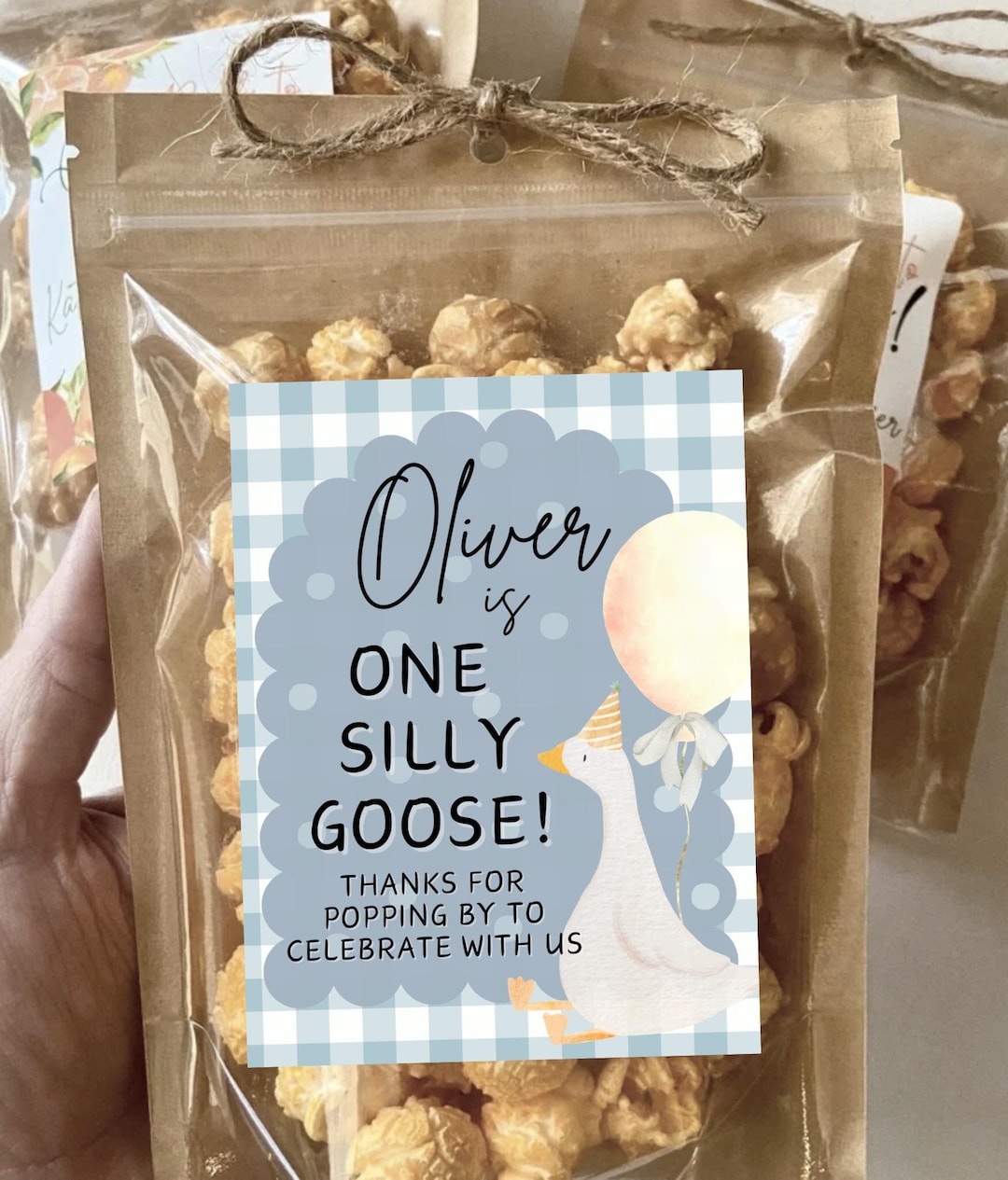 ONE Silly Goose Birthday Party Favors Boy First Birthday Party Decor ...