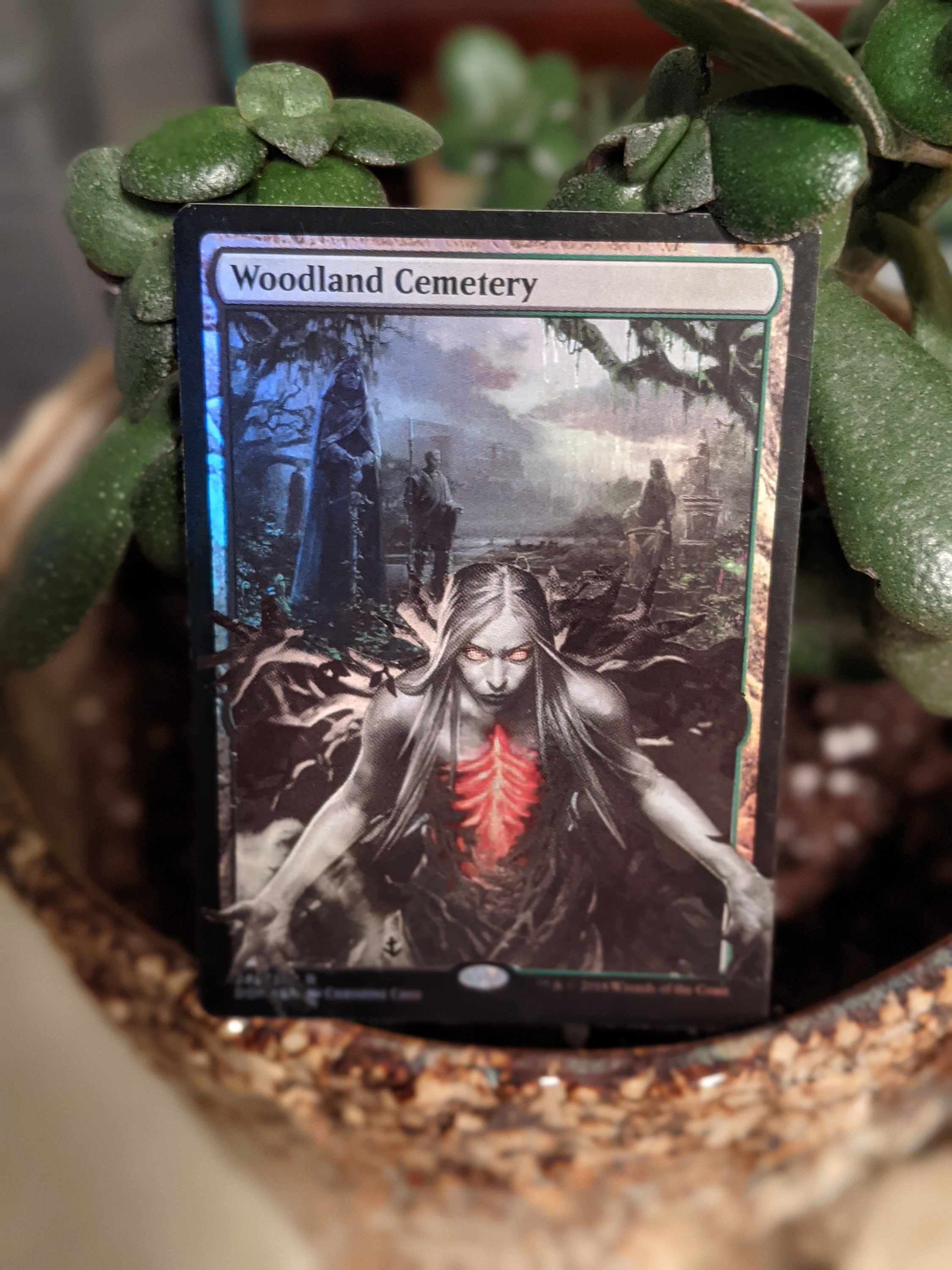 Woodland Cemetery Mtg