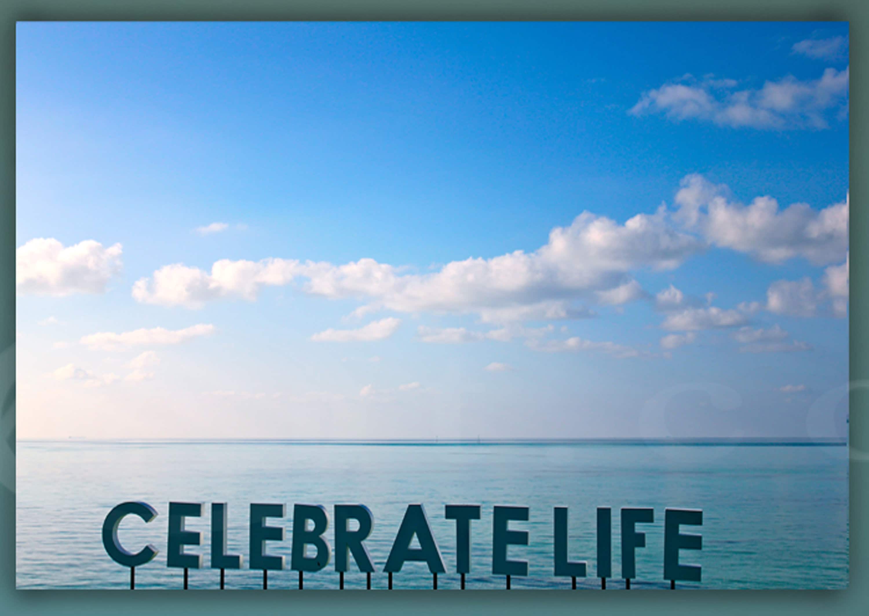 Celebrate life Photograph Home Decor Print ideal House Warming | Etsy