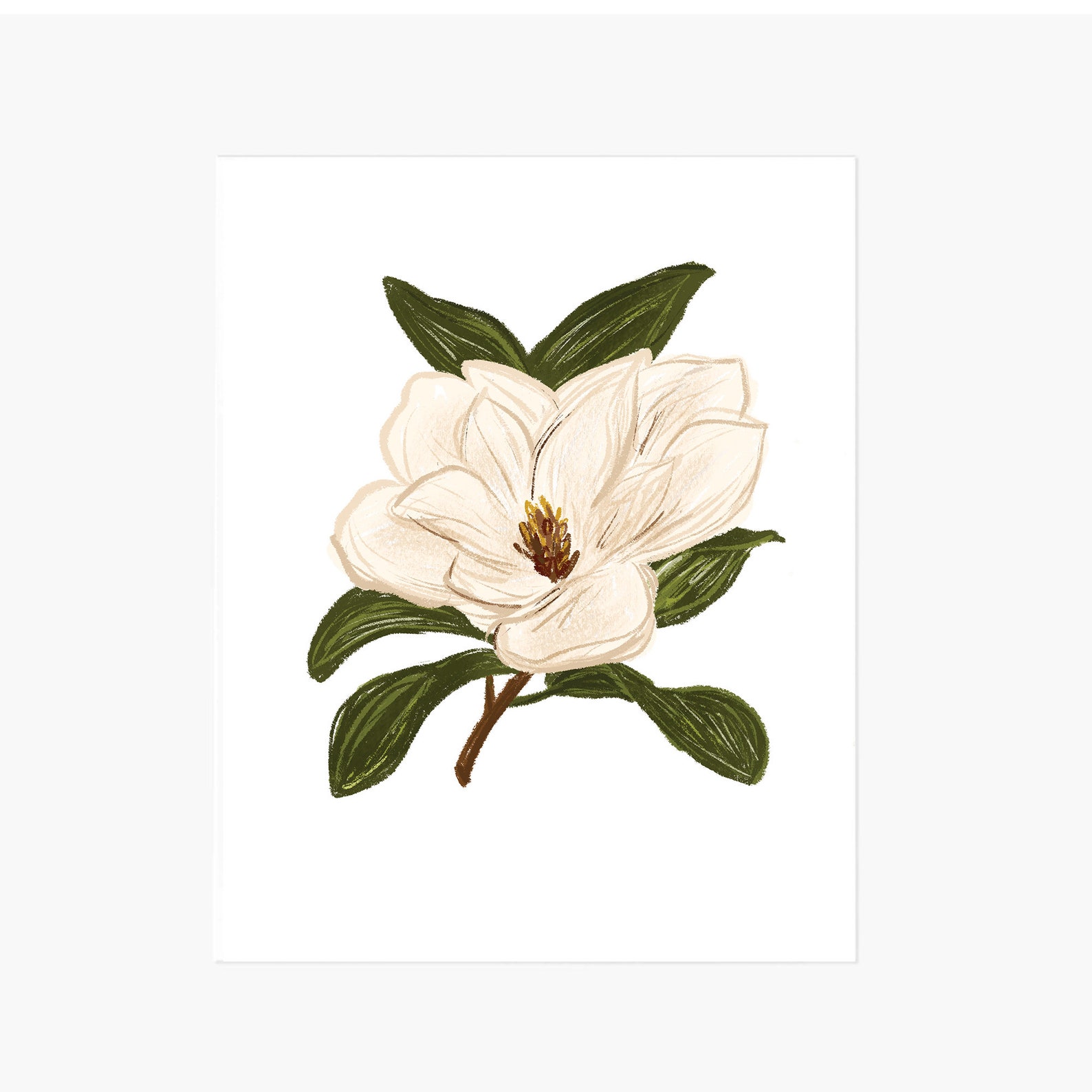 Magnolia Art Print, Hand Illustrated Flower, Botanical Print, White ...