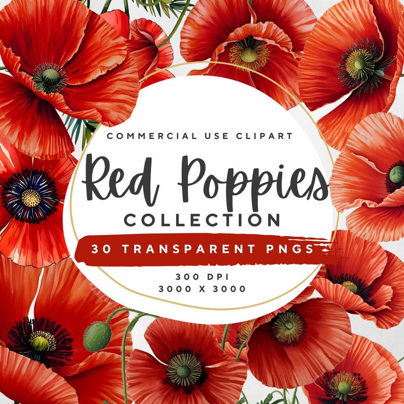 30 Red Poppy PNG Clipart | Watercolor Floral Graphics | Wildflower ...