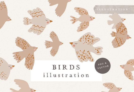 BIRDS CLIPART / vector and png bundle boho illustration hand | Etsy