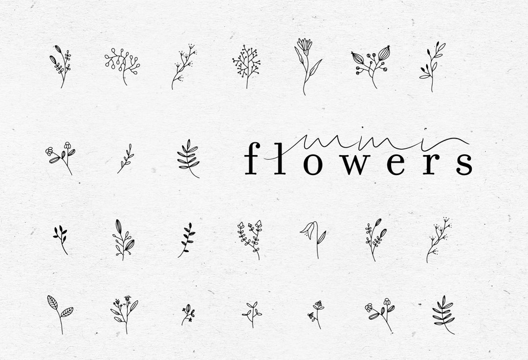 MINI FLOWER SKETCH / Vector and Png Bundle Botanical Illustration Hand ...
