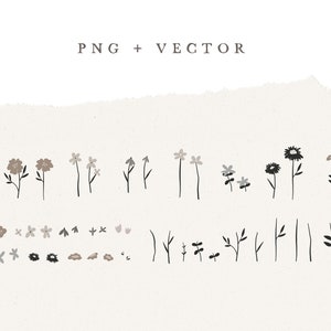 WILDFLOWER CLIPART / Florals and Leaves Png and Vector Hand Drawn ...