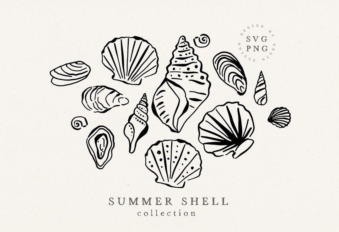 SHELL SUMMER BUNDLE / Svg Png Vector Bundle Hand Drawn Sketches Shells ...