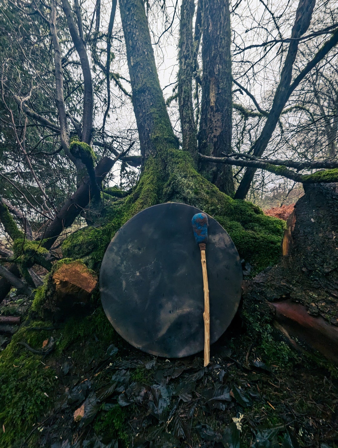 20'' Shamanic Buffalo Medicine Drum - Etsy