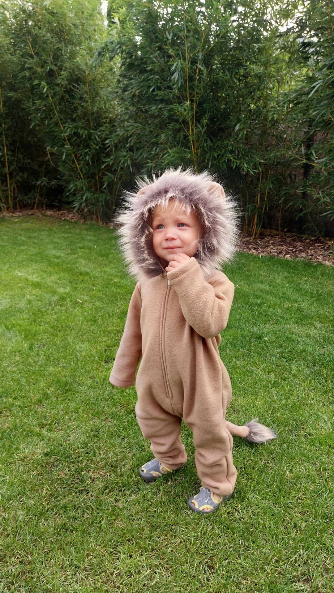 Kids Lion Cub Costume Hooded Vest Outfit Suit Overall Fur Hat Cap ...