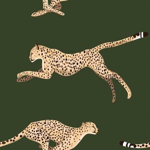 Dark Green Cheetah Wallpaper | Green Animal Peel and Stick Wallpaper ...