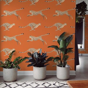 Orange Cheetah Wallpaper | Bright Orange Animal Peel and Stick ...