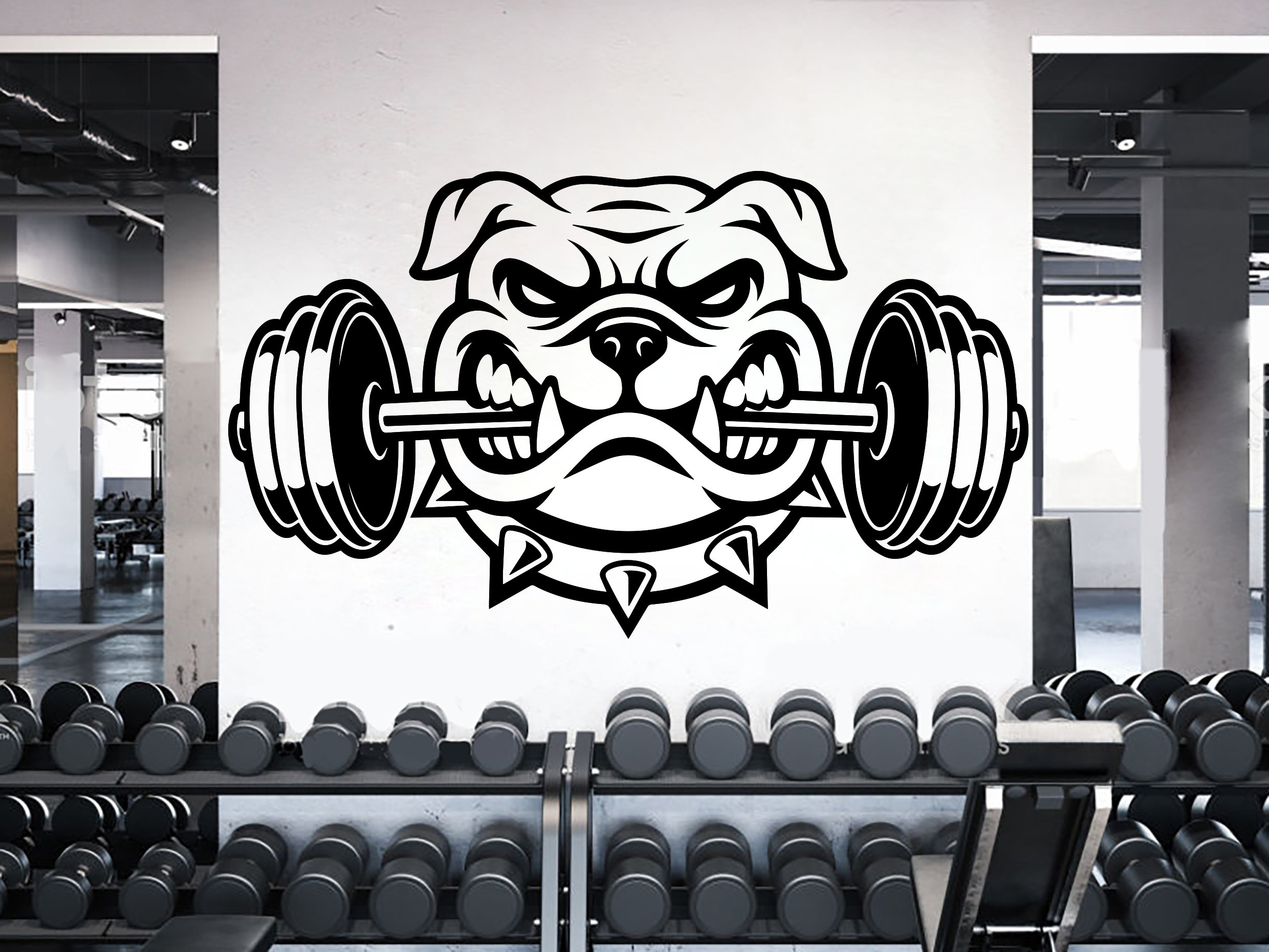 Bull Dog Gym Wall Decal Custom Fitness Decor Workout Art Vinyl - Etsy