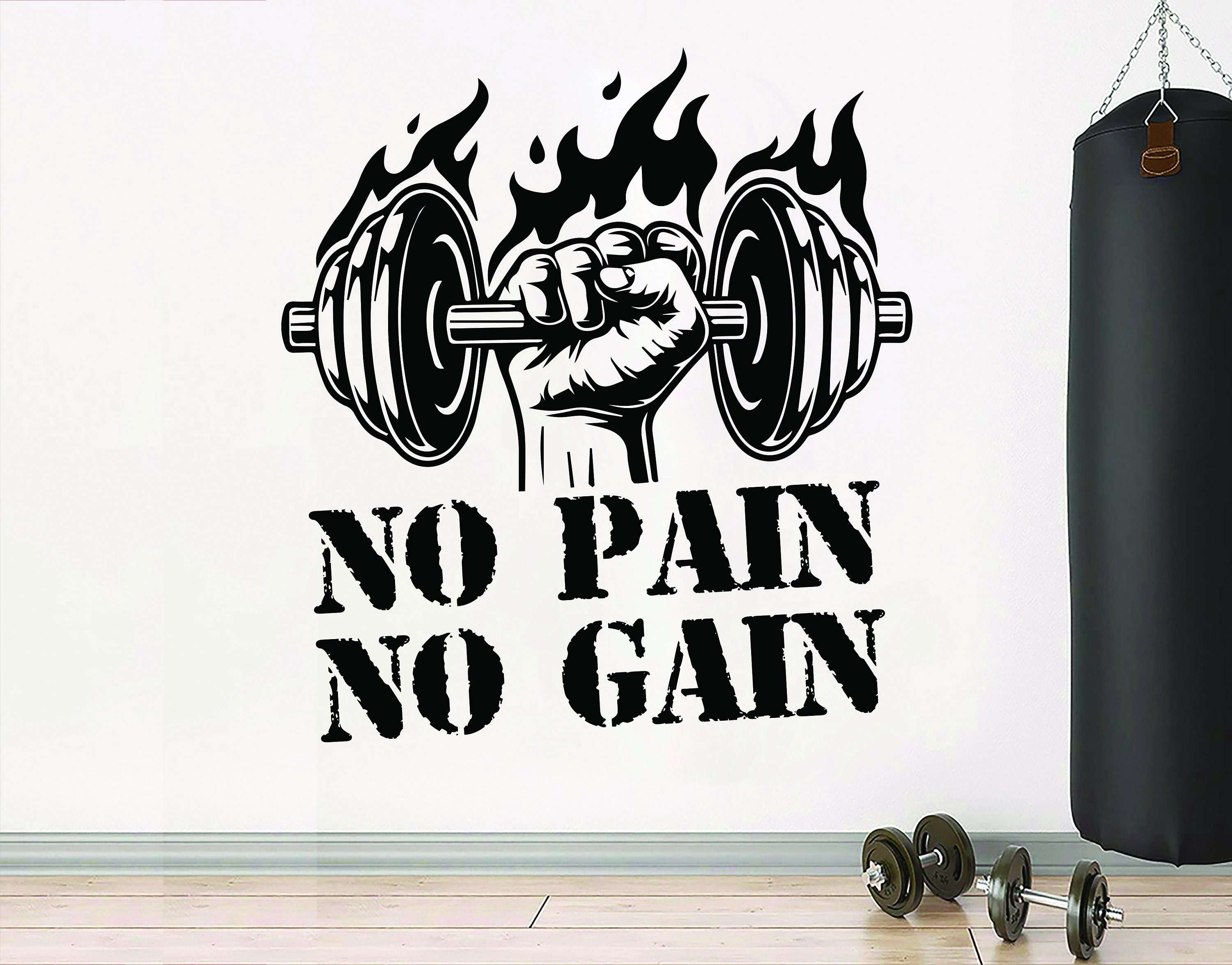 No Pain No Gain Fitness