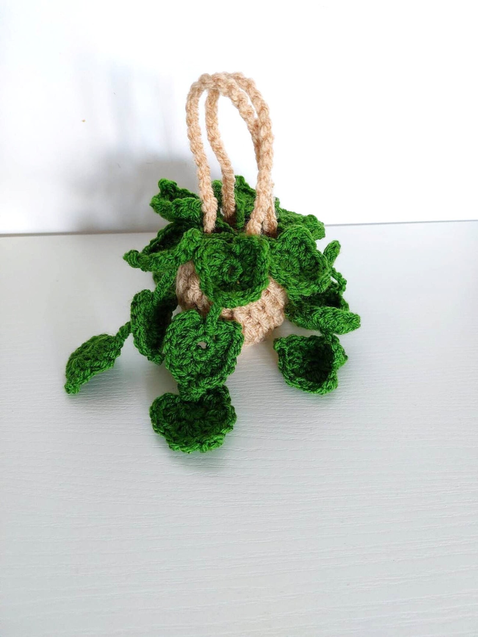 Crochet Car Hanging Plant Pothos Plant Crochet Ornament Gift for Her ...