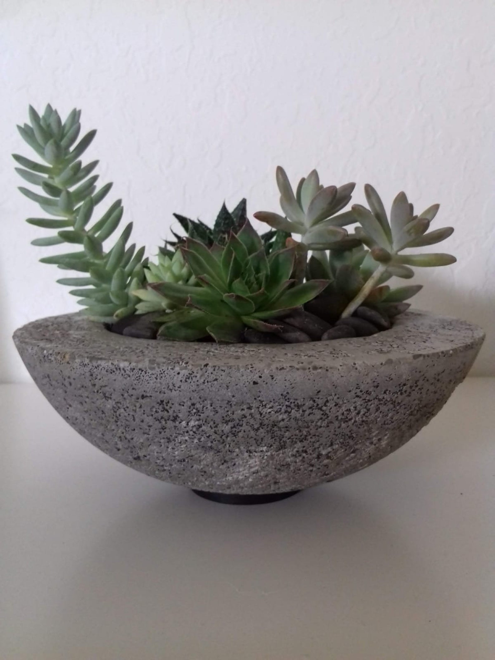 Concrete Bowl. Planter. Table Top Fire Pit. Concrete Dish. | Etsy Canada