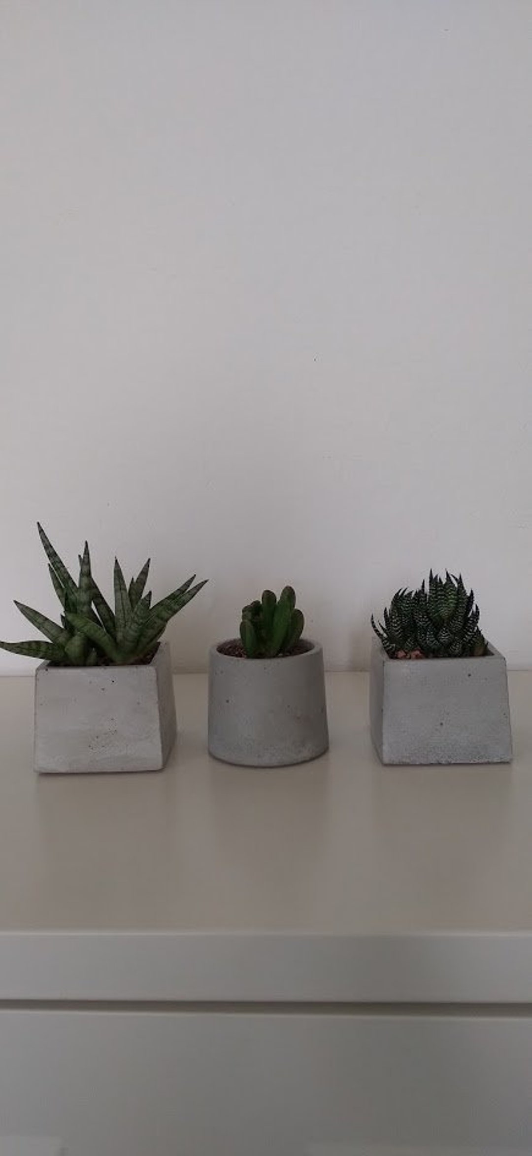 Small Concrete Planter. - Etsy