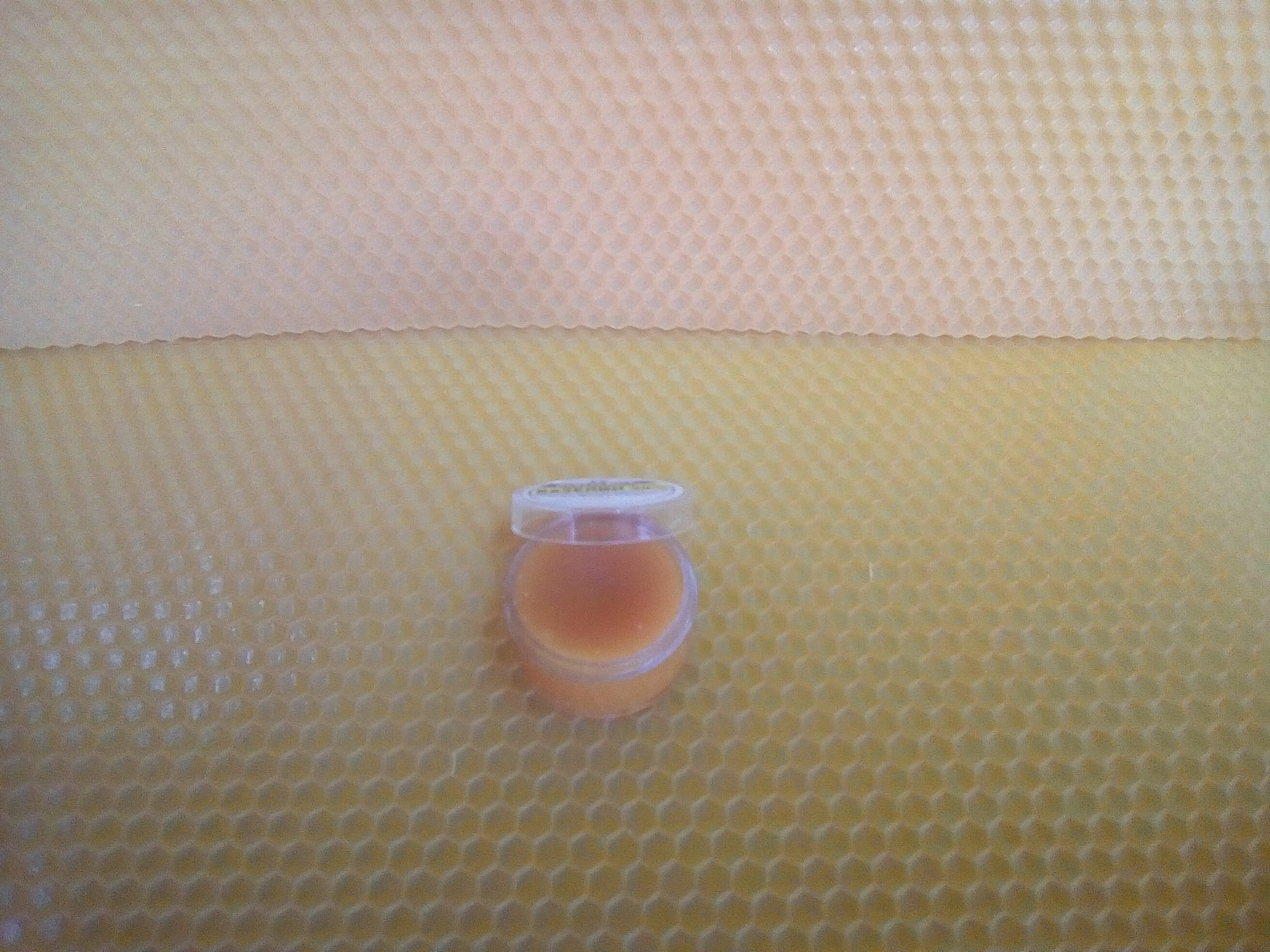 Callus Corn Removal Cream Salve Balm With Propolis Camphor - Etsy