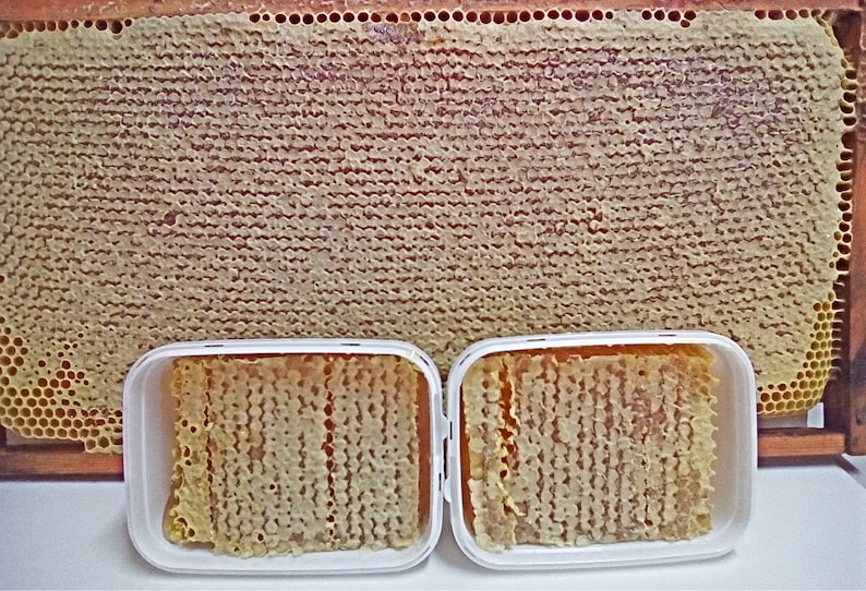 Raw Honeycomb 7 Oz./ 200 G, Fresh Pure Forest Comb Honey Direct From ...
