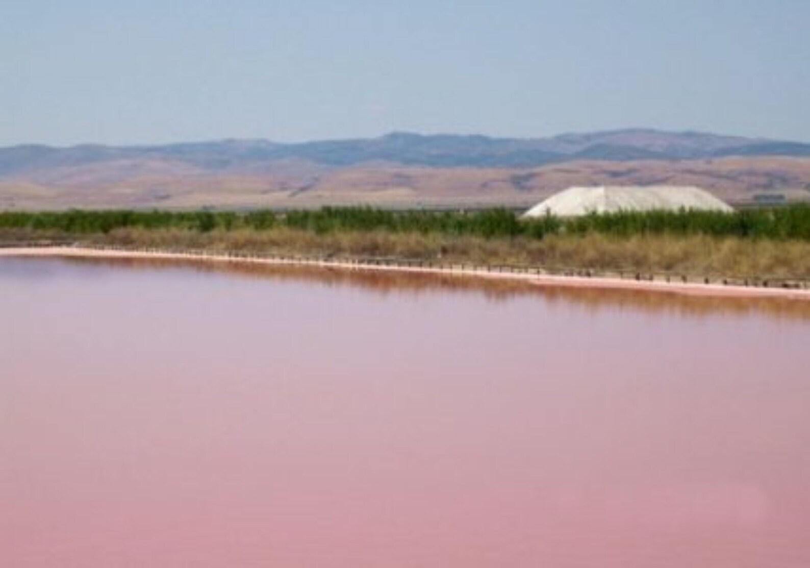 Sea Water Skin and Body Solution 250 Ml/ 8.8 Oz. Magnesium - Etsy