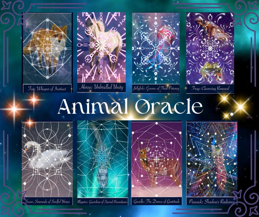 Animal Oracle Card Deck Magical Animal Light Code Cards to Guide Your ...