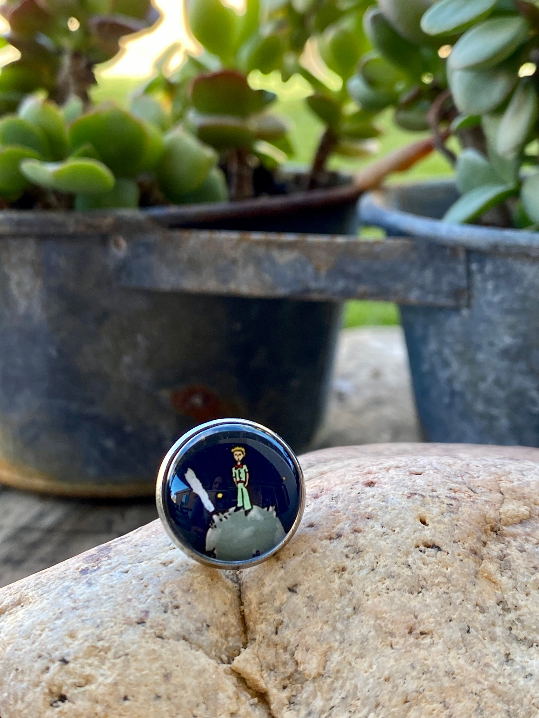 Little Prince Pin the Little Prince Story Images Plane - Etsy