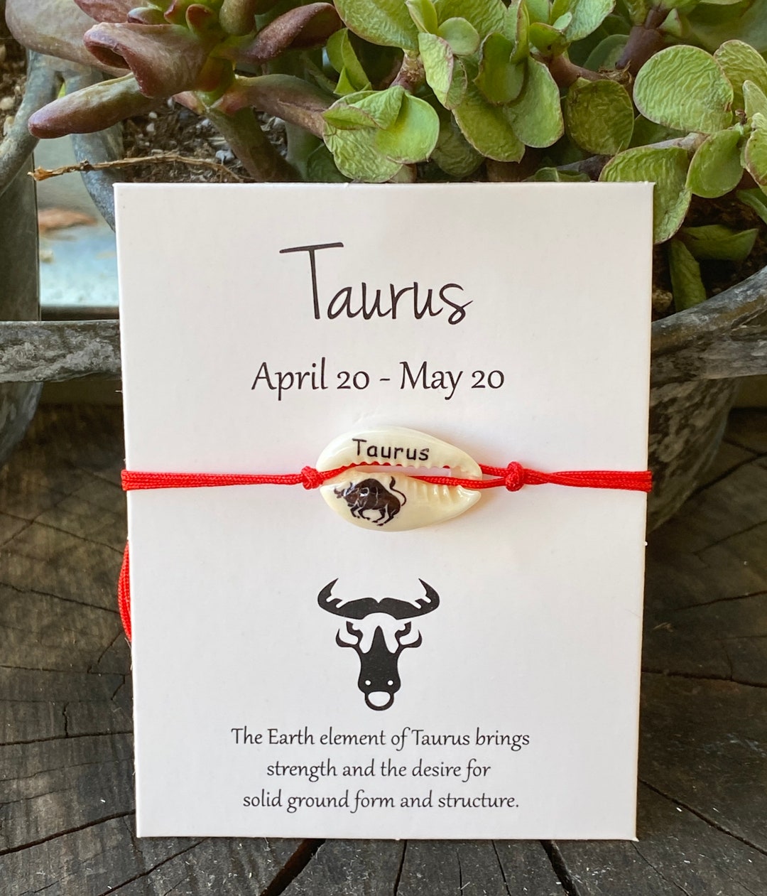 Pulsera Taurus Seashell, Zodiac Sign Shell Lucky Bracelet, String ...