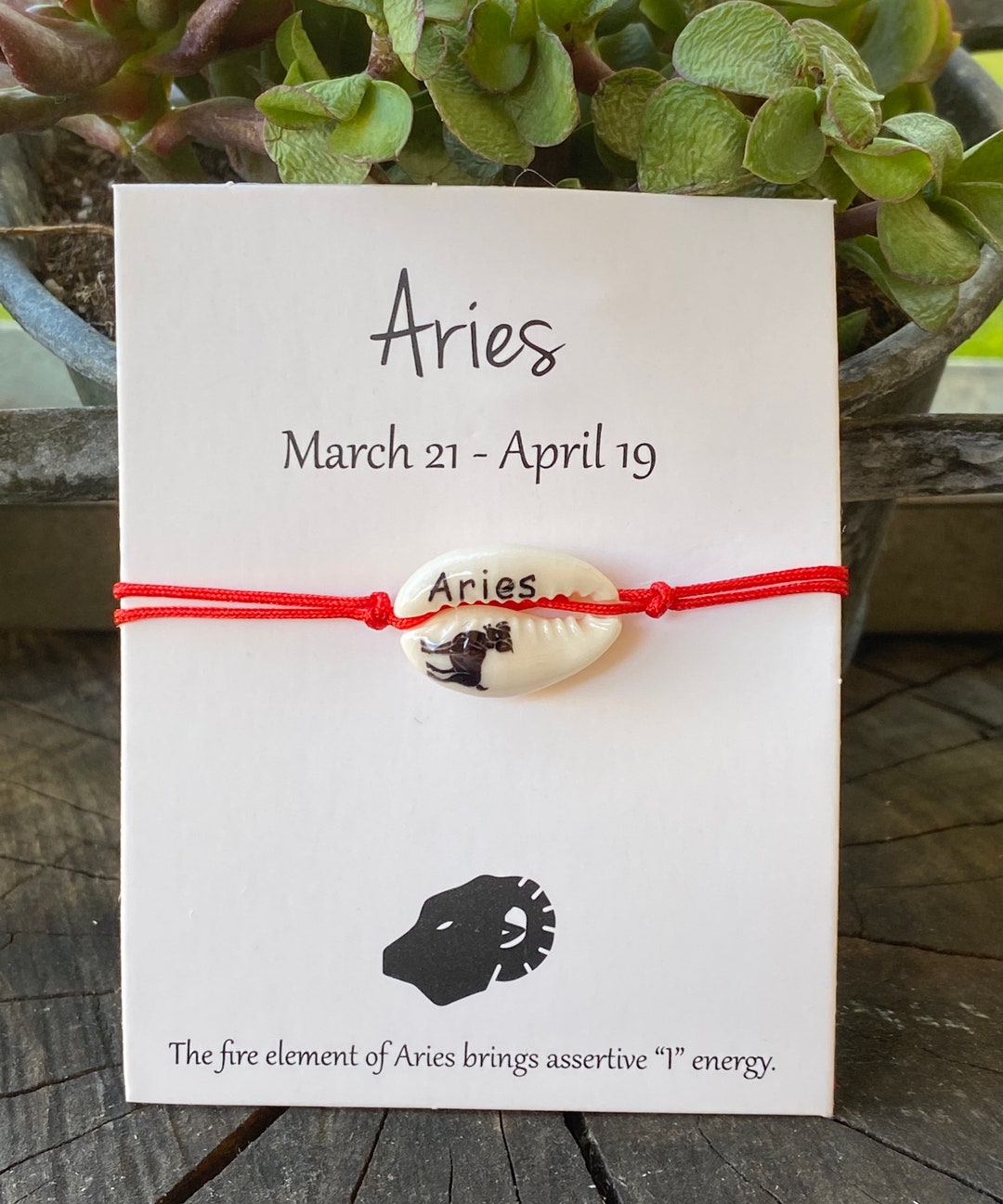 Aries Seashell Bracelet, Zodiac Sign Shell Lucky Bracelet, String ...