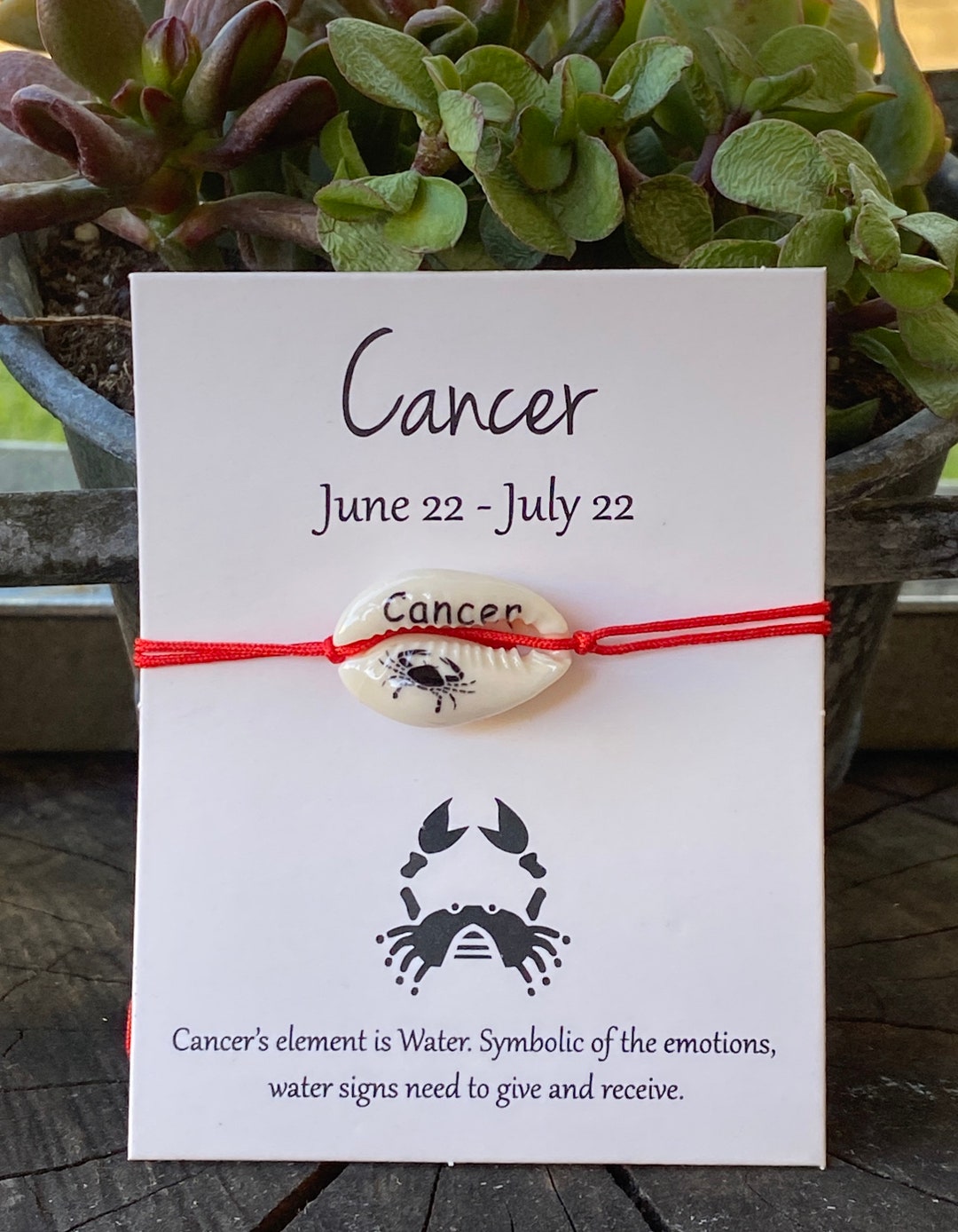 Cancer Seashell Bracelet, Zodiac Sign Shell Lucky Bracelet, String ...