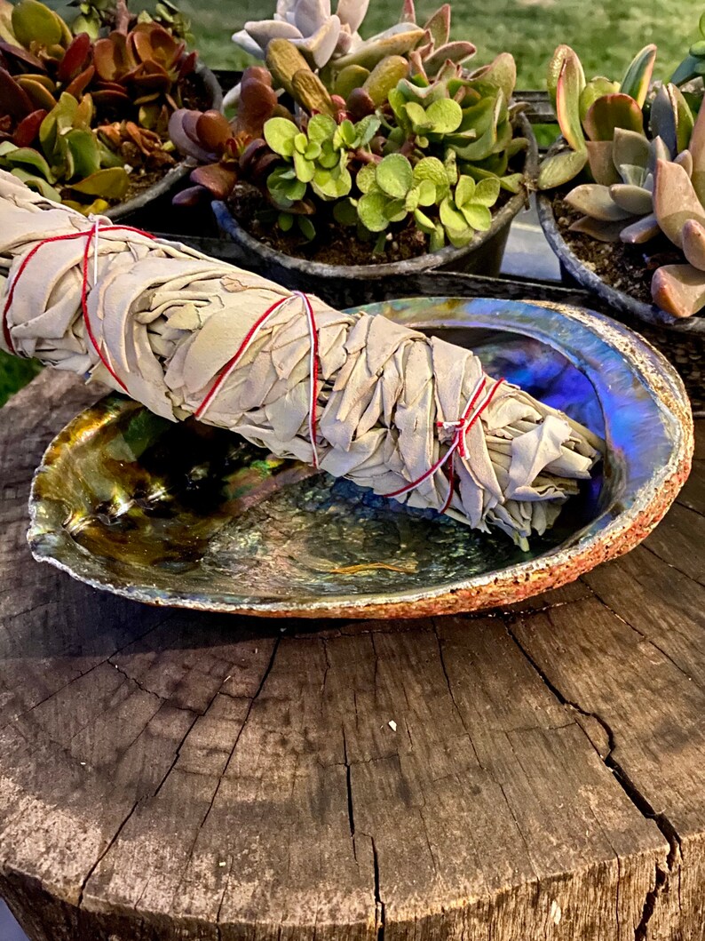 Abalone Shell Large Smudge Bowl Cleansing an Smudging - Etsy