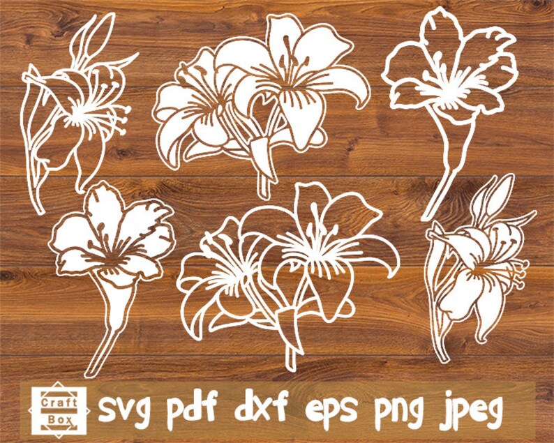 Lilies Set Svg Lily Svg Lily Stencil Lily Bundle Svg Lily | Etsy