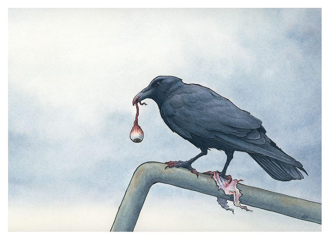 Bird’s Eye View (print) - Etsy