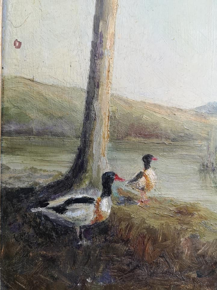 John Sutton british B .1935 'mallards at Norfolk Broadlands' Original ...