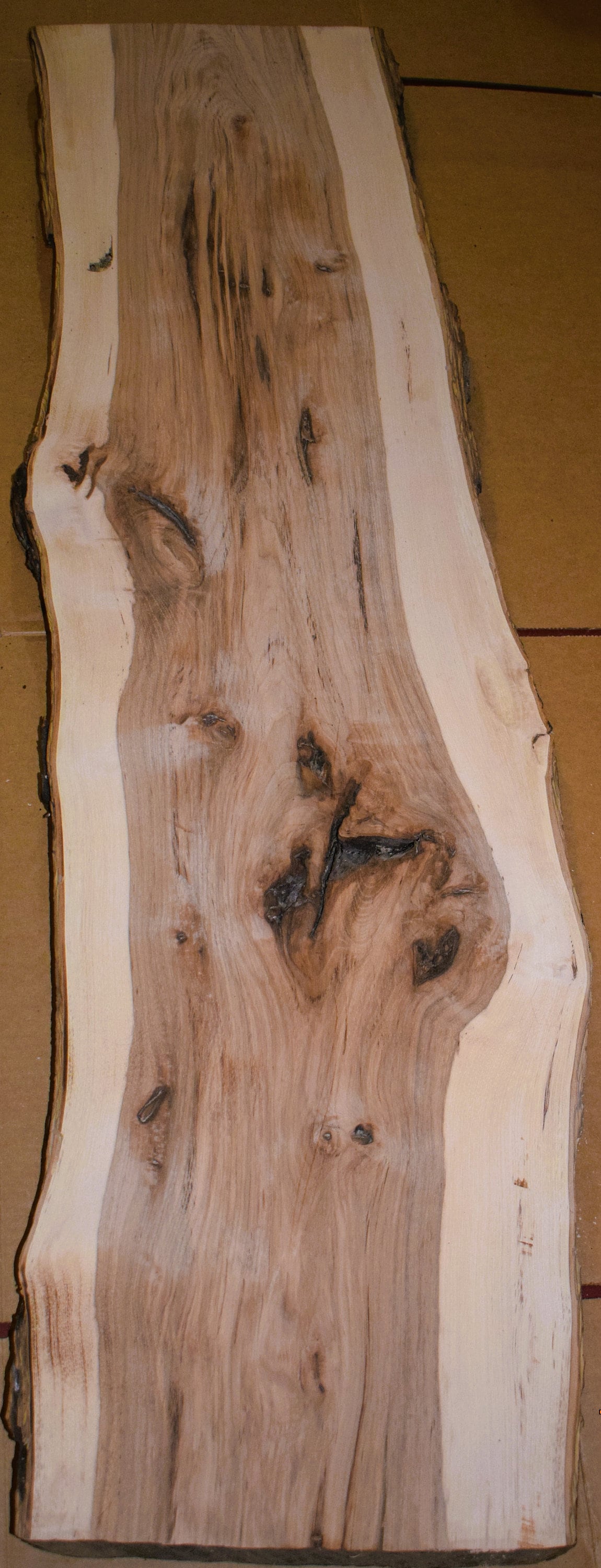 Live Edge HICKORY Slab. 48 X 12 X 1 1/2. LOADED W CHARACTER. Bench ...