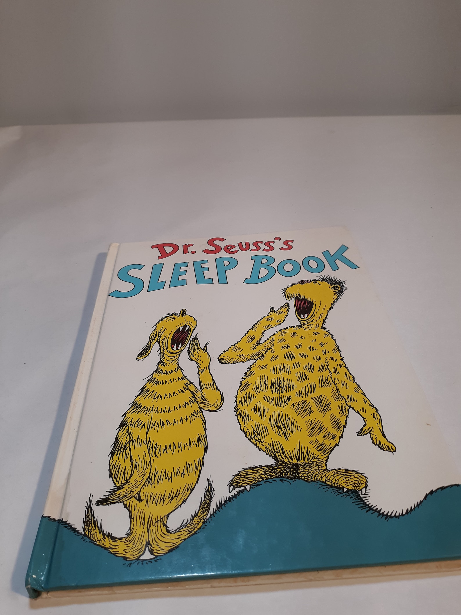 Dr. Seuss's SLEEP BOOK - Etsy