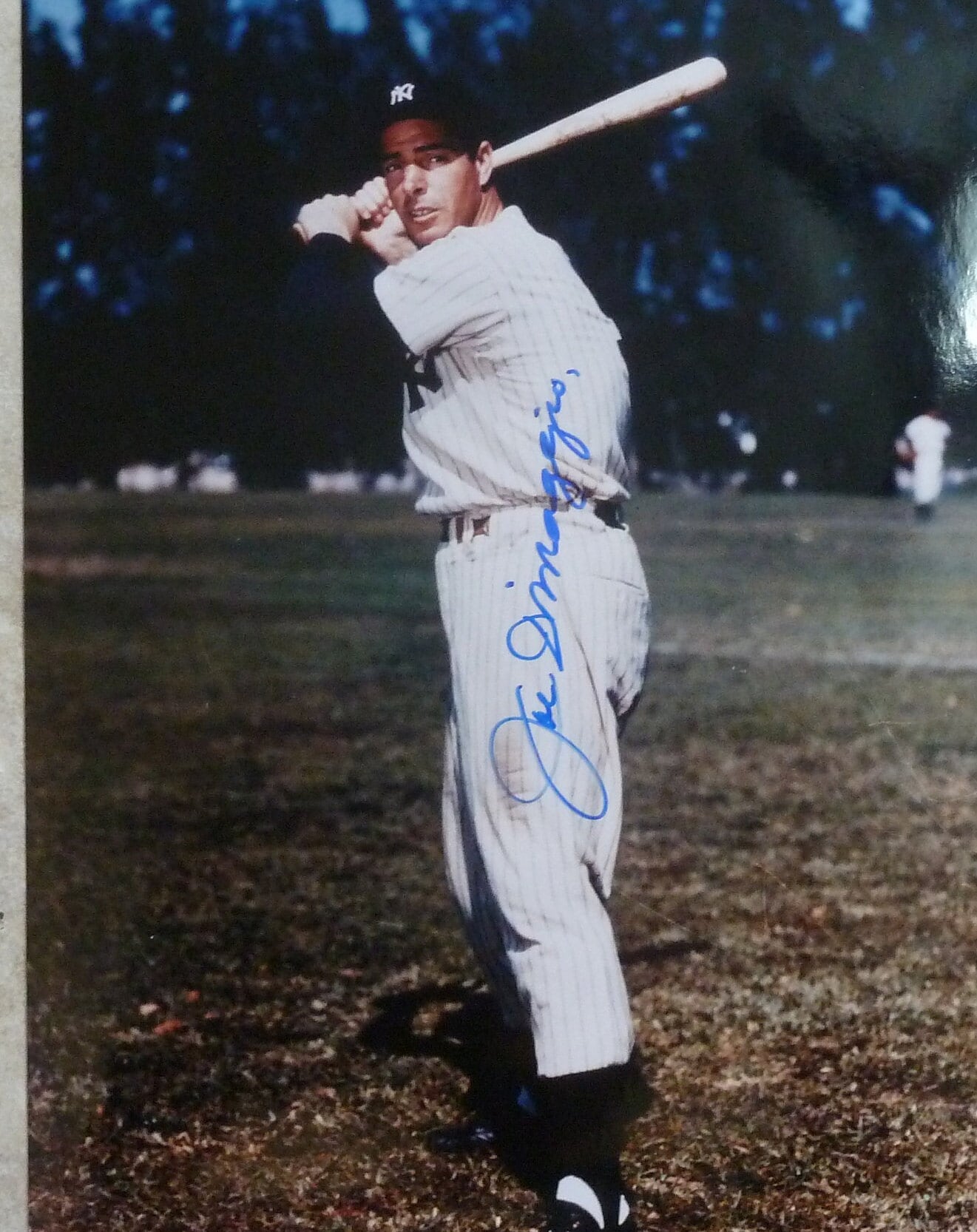 JOE Dimaggio Autographed 8x10 Color Photo With COA and Tamper Proof ...