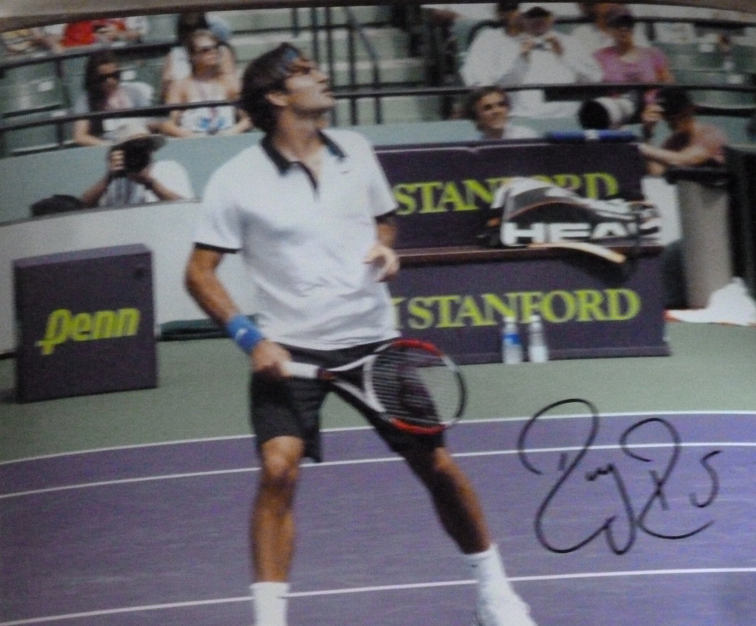 ROGER FEDERER Autographed 8X10 Color Photo With COA - Etsy