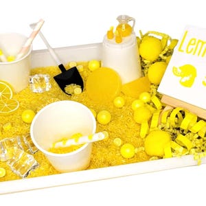 Lemonade Stand Sensory Kit - Etsy