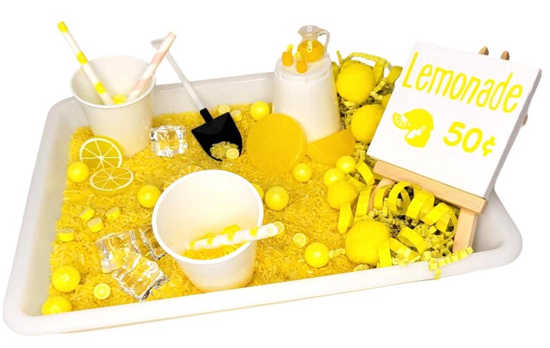Lemonade Stand Sensory Kit - Etsy
