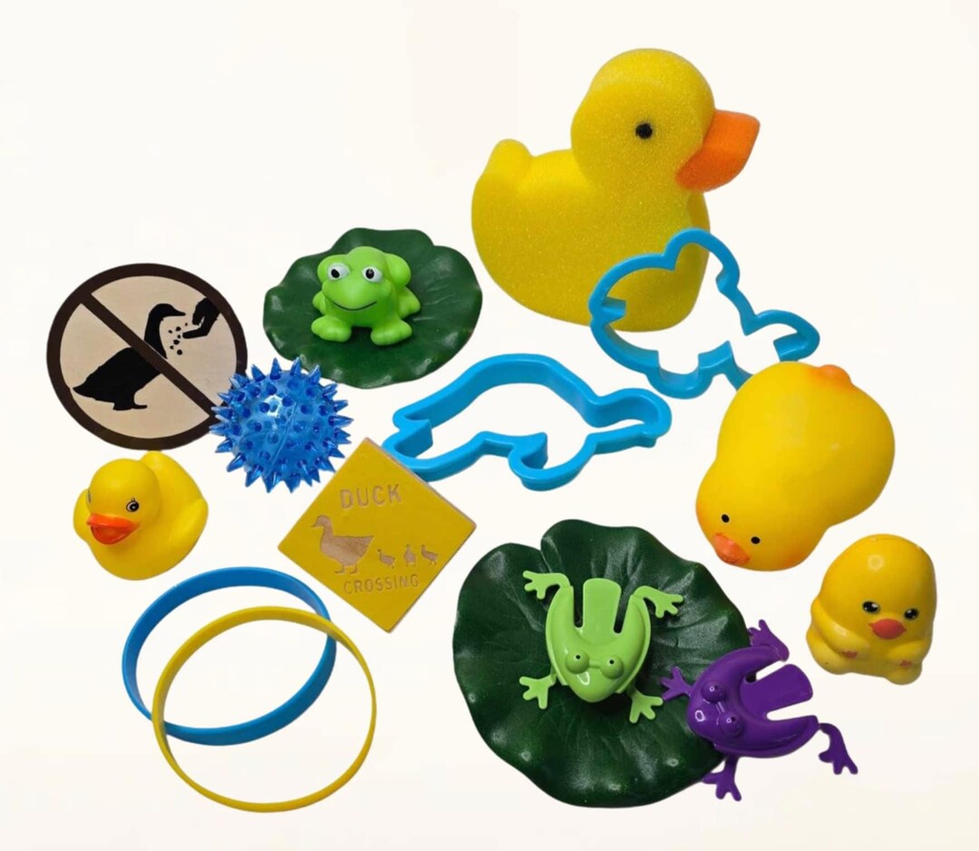 Duck Pond Busy Tots - Etsy