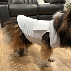 Golf Caddie Bib for DOGS With Name Badge on Back of Caddy Bibs White ...