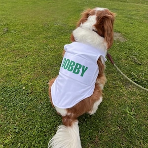 Golf Caddie Bib for Dogs With Name Badge on Back of Caddy Bibs White ...